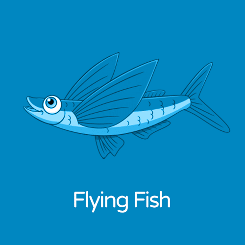 flying-fish | Oulton Primary School